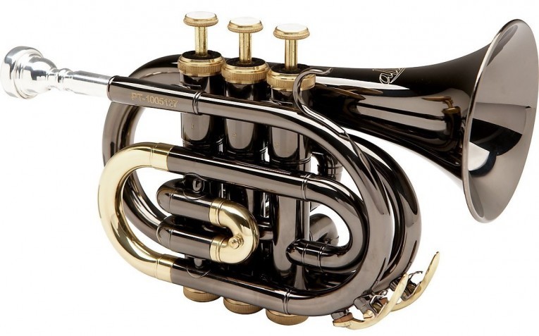 Best Pocket Trumpets Reviewed and Rated | TrumpetHub