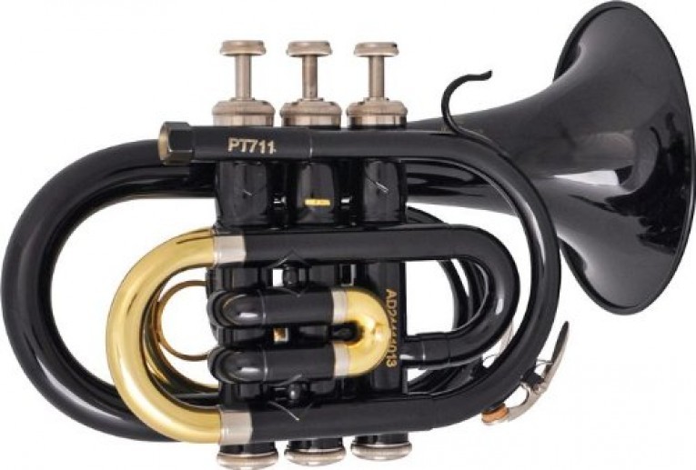 Best Pocket Trumpets Reviewed and Rated | TrumpetHub