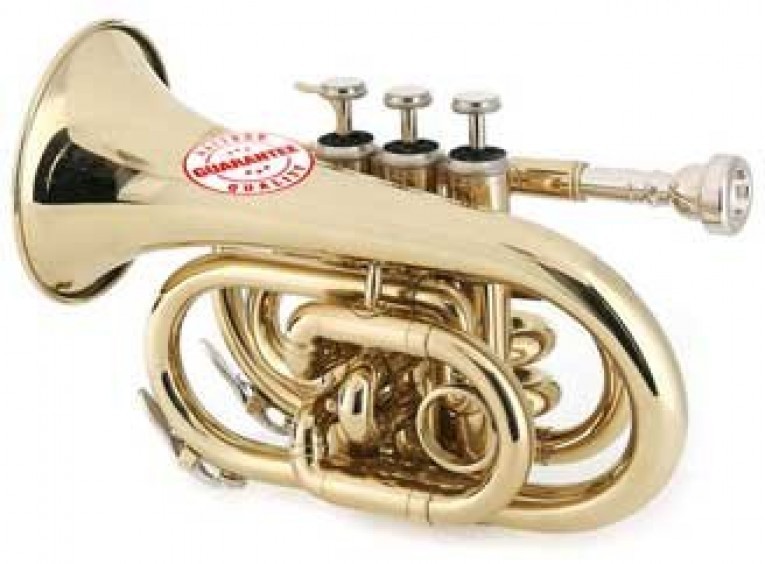 Best Pocket Trumpets Reviewed and Rated | TrumpetHub