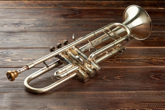 Best Trumpet Reviews & Buying Guides 2021 - TrumpetHub.com